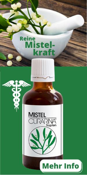 Mistel gegen Krebs - PhytoDoc