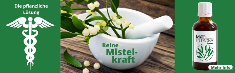 Mistel gegen Krebs - PhytoDoc