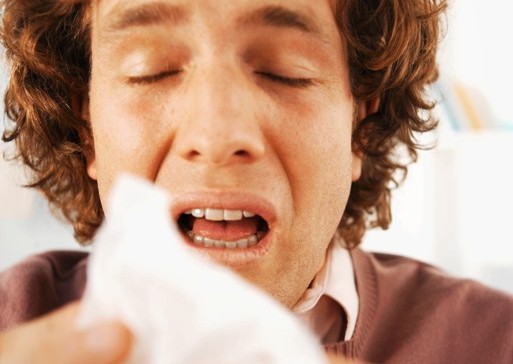 Schnupfen (Rhinitis): Ursachen, Symptome & Hilfe - PhytoDoc